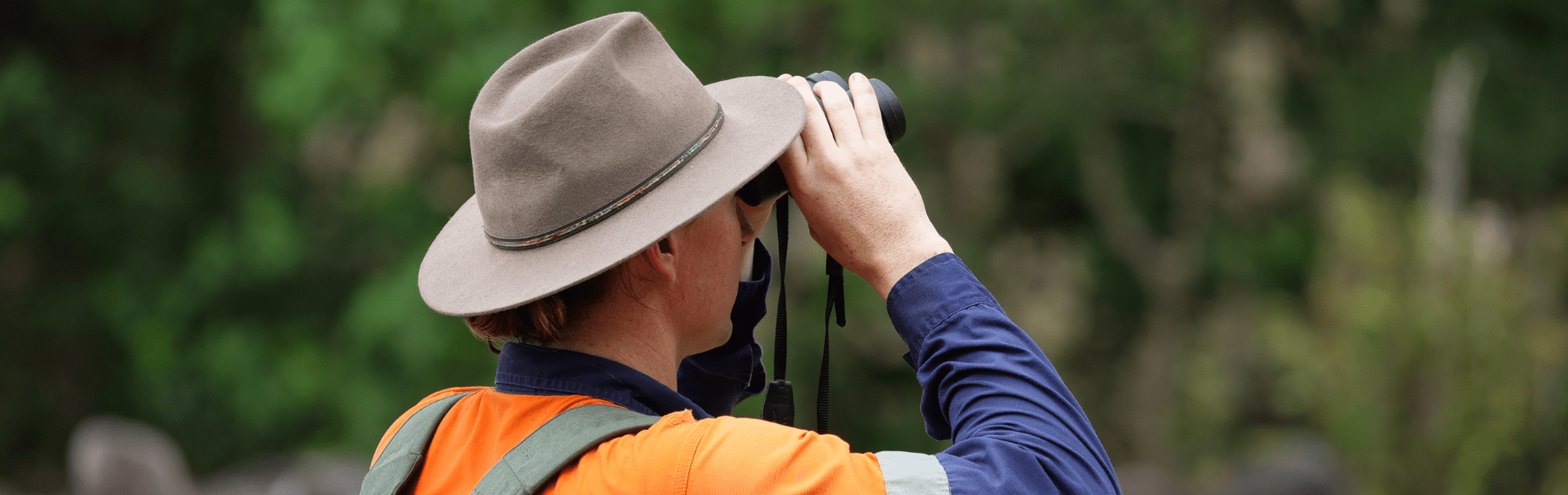 Our ecologists are out and about. - Queensland Hydro